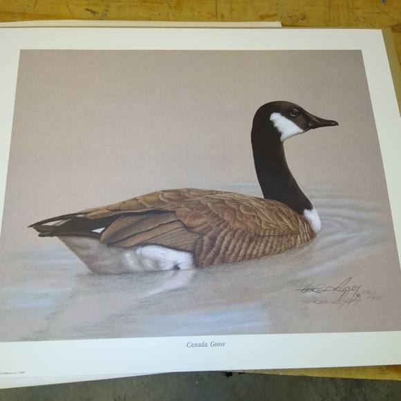 Harold Rigsby | Wall Decor | Canadian Goose By Harold Rigsby 72975 ...